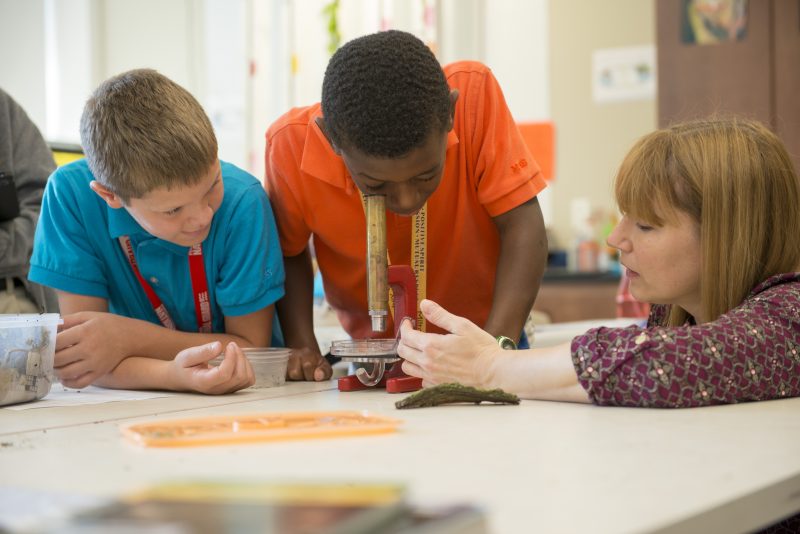 4 Ways to Bring STEAM to Life for Elementary Students