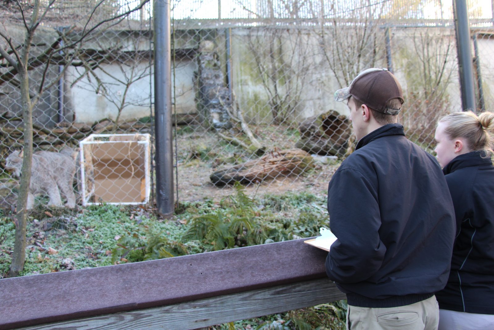 MHS Students Design Enrichment Activities for Animals