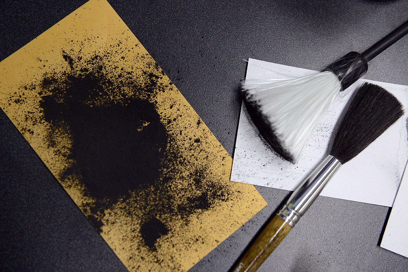 Law, Public Safety and Security Career Pathway at MHS