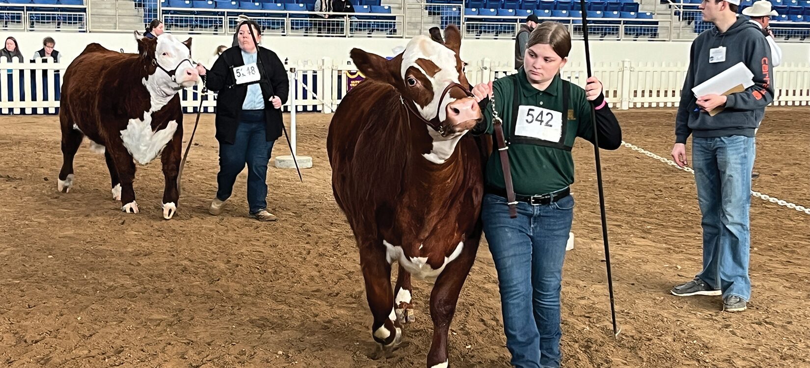 MHS Senior Reflects on Impact of AEE Program