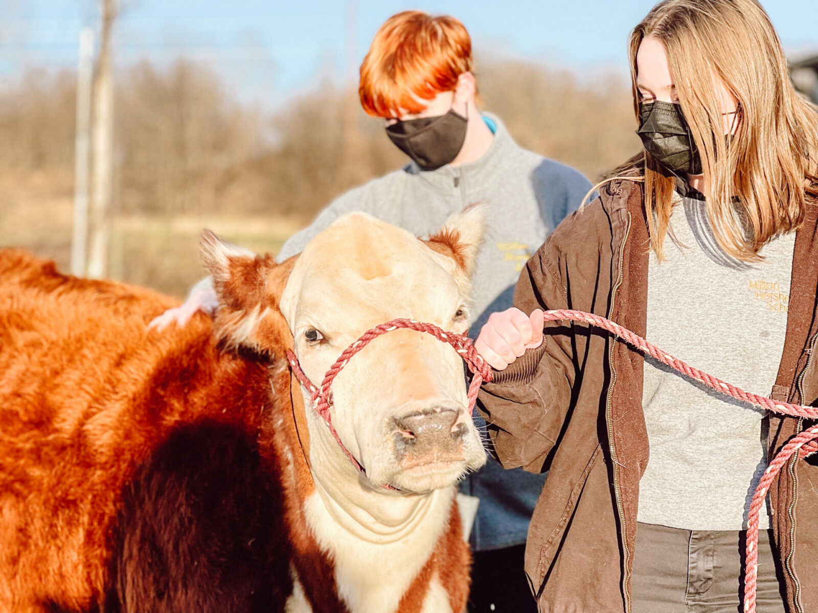Milton Hershey School Students Prepare for the PA Farm Show 2022