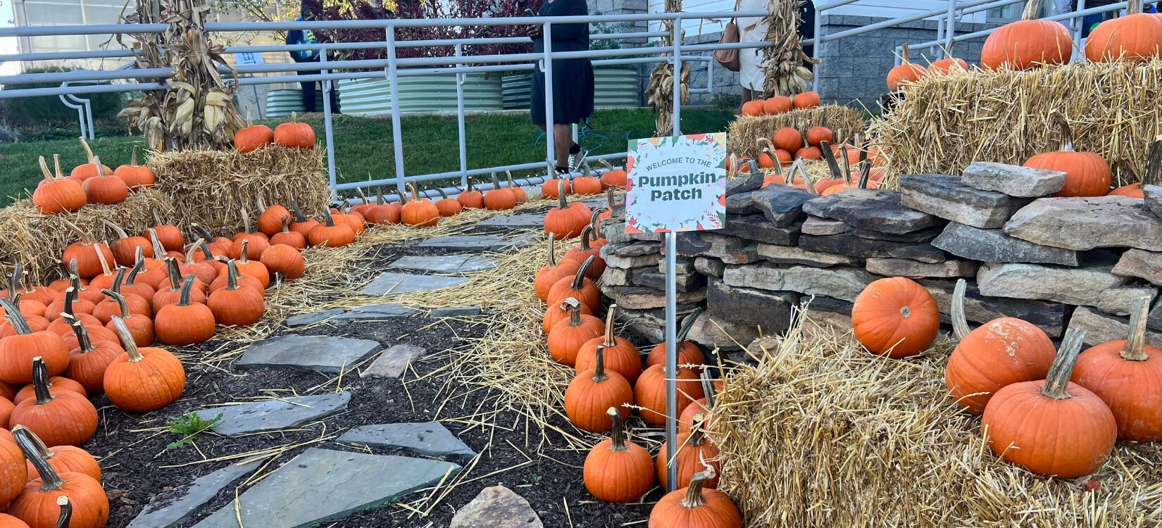 MHS Project Market Hosts Fall Frolic During Family Weekend